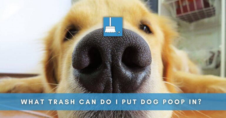 What Trash Can Do I Put Dog Poop In? (Explained)