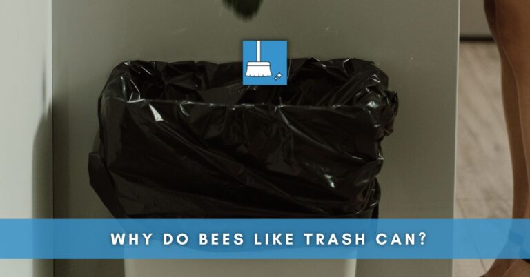 Why Do Bees Like Trash Can? (Explained)