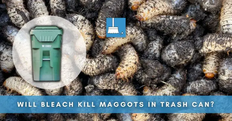 Will Bleach Kill Maggots In Trash Can? (Explained)
