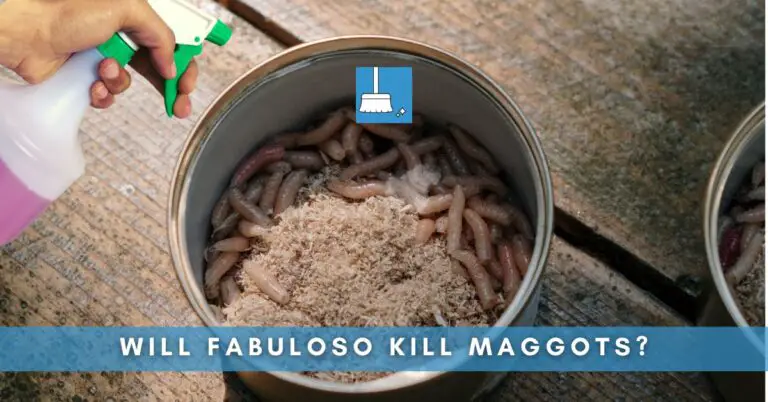 Will Fabuloso Kill Maggots? (With 6 More Home Remedies)